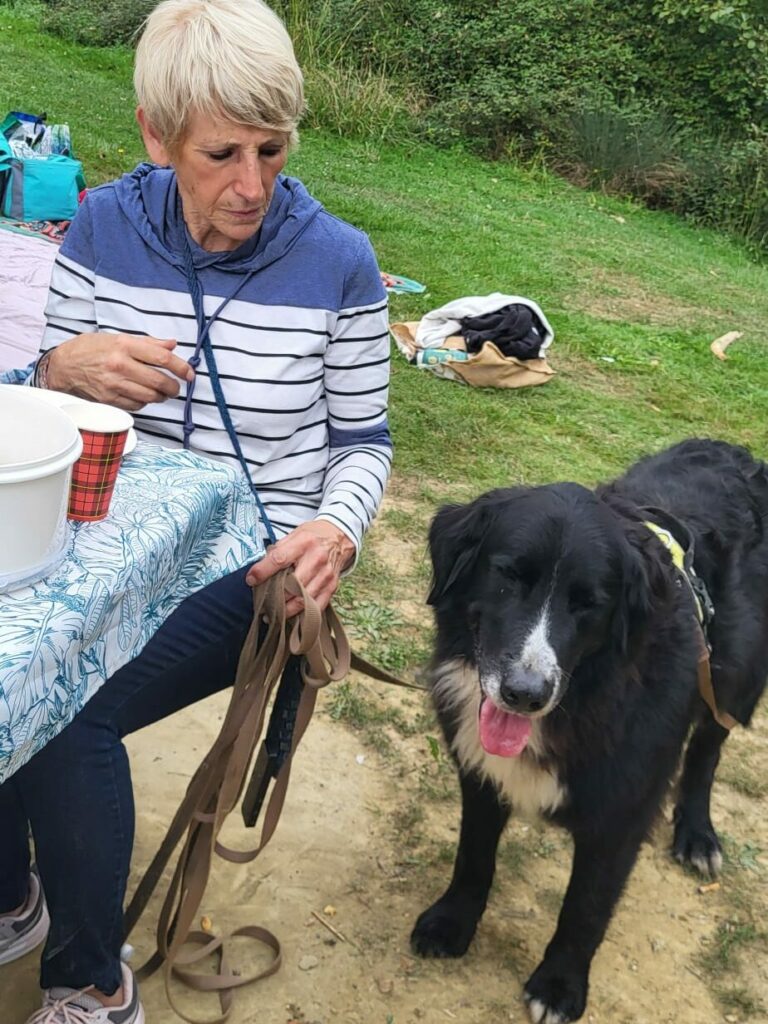 Créer du Lien - Animal et Lien Social
